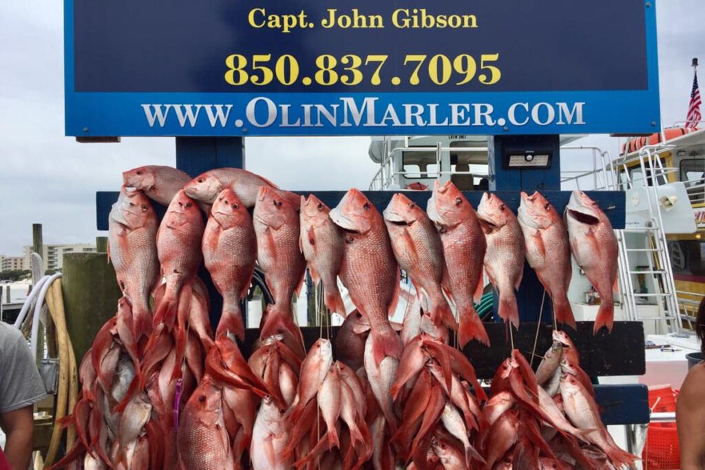 Deep Sea Fishing – Party Boat Charter – Olin Marler Charter Boats